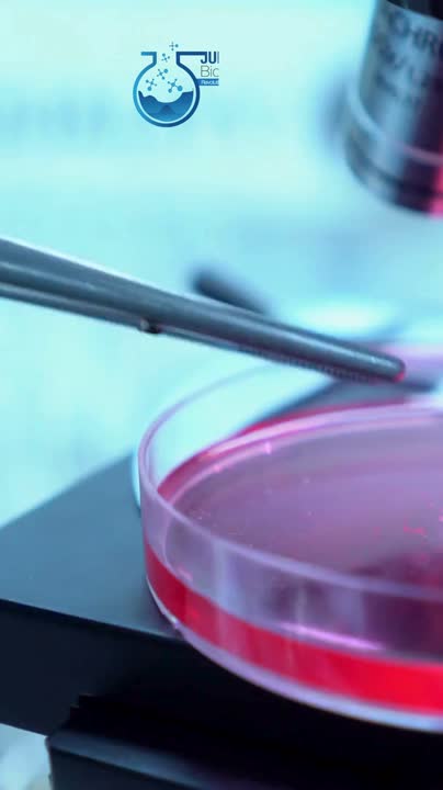 Dhruv Vyas on LinkedIn: Jupiter Global Bio-Research Dhruv Vyas on LinkedIn: Jupiter Global Bio-Research