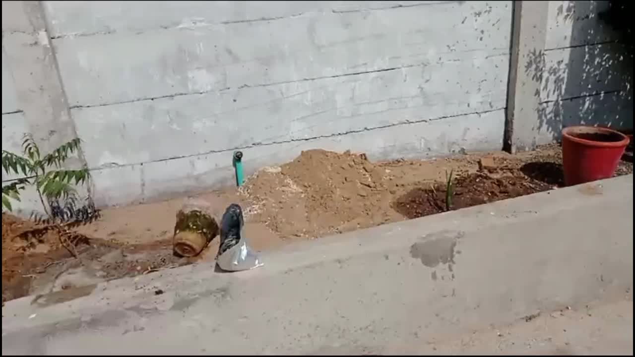Muhammad Talha on LinkedIn: Alhamdulilah :) plantation done. Muhammad Talha on LinkedIn: Alhamdulilah :) plantation done.