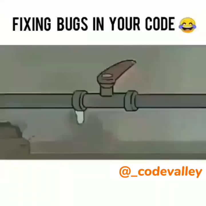 #developer #developerlife #bugs #coding #programming | Zuhaib Asif | 18 ... #developer #developerlife #bugs #coding #programming | Zuhaib Asif | 18 ...