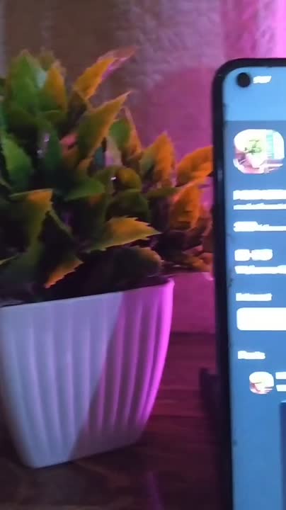 Mudasir Hussain on LinkedIn: #flutter #flutterdeveloper #openforwork # ... Mudasir Hussain on LinkedIn: #flutter #flutterdeveloper #openforwork # ...