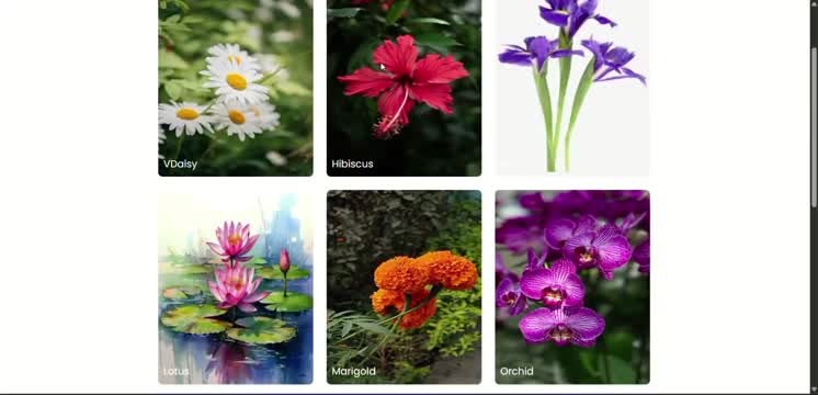 Neha Gupta on LinkedIn: #codealpha #imagegallery #html #css #javascript ... Neha Gupta on LinkedIn: #codealpha #imagegallery #html #css #javascript ...