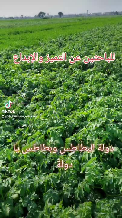 Dr. Hesham Salah El askary posted on LinkedIn Dr. Hesham Salah El askary posted on LinkedIn