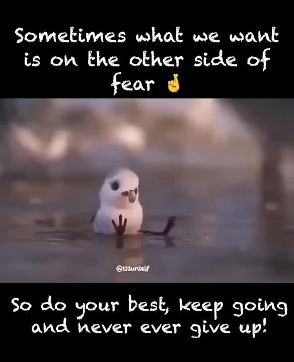 Ehsan Ullah on LinkedIn: #success #success #opportunity #opportunity # ... Ehsan Ullah on LinkedIn: #success #success #opportunity #opportunity # ...