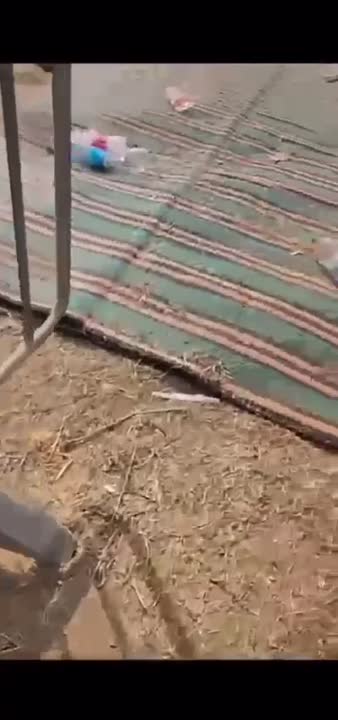 Caution: Disturbing images Israeli soldier desperately looking for ... Caution: Disturbing images Israeli soldier desperately looking for ...