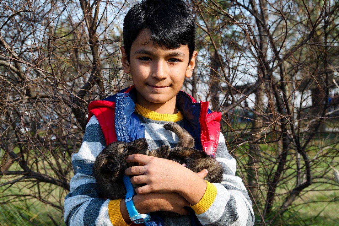 Yukta Vaidya on LinkedIn: Preventing Dog Attacks: Kid-Friendly Tips 🙌🐕 ... Yukta Vaidya on LinkedIn: Preventing Dog Attacks: Kid-Friendly Tips 🙌🐕 ...