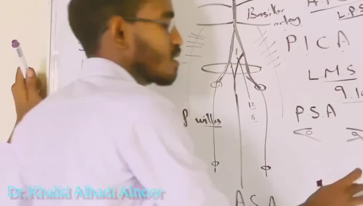 KHALID ALHADI ALNOOR SALLAM on LinkedIn: #anatomy #education # ... KHALID ALHADI ALNOOR SALLAM on LinkedIn: #anatomy #education # ...