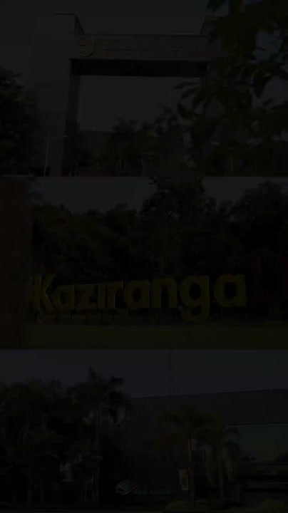 SUBHAM KUMAR on LinkedIn: seminar at Kaziranga University SUBHAM KUMAR on LinkedIn: seminar at Kaziranga University