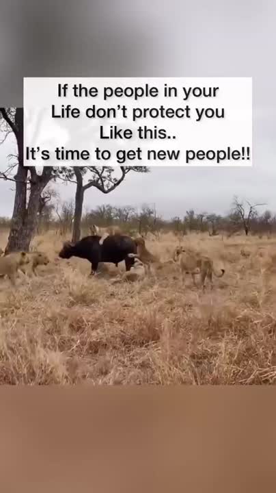 Pandya kashyap on LinkedIn: #connections #comment #people #helpinghands ... Pandya kashyap on LinkedIn: #connections #comment #people #helpinghands ...
