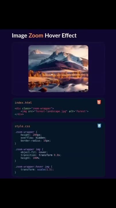 M Afnan Khadim on LinkedIn: Image Zoom Hover Effect M Afnan Khadim on LinkedIn: Image Zoom Hover Effect