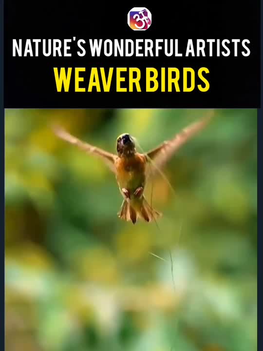 Abhishek Patil on LinkedIn: #artist #nature #environment #art # ... Abhishek Patil on LinkedIn: #artist #nature #environment #art # ...