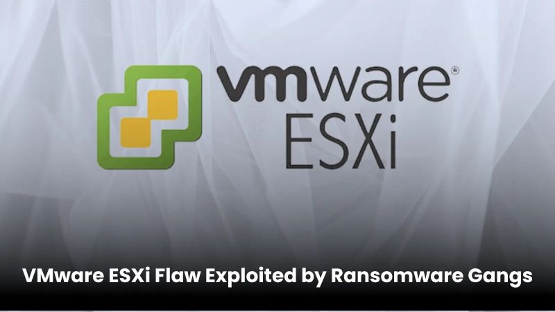 Nicolai Landzettel on LinkedIn: Ransomware Gangs Exploiting VMware ESXi ... Nicolai Landzettel on LinkedIn: Ransomware Gangs Exploiting VMware ESXi ...