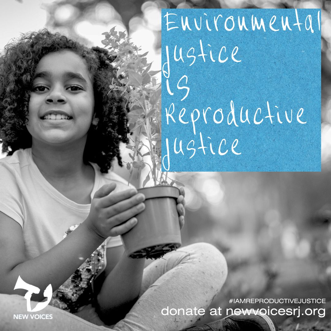 New Voices for Reproductive Justice on LinkedIn: Reproductive Justice ... New Voices for Reproductive Justice on LinkedIn: Reproductive Justice ...