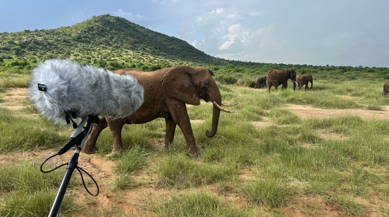 United States PostgreSQL Association on LinkedIn: PostgreSQL United States PostgreSQL Association on LinkedIn: PostgreSQL
