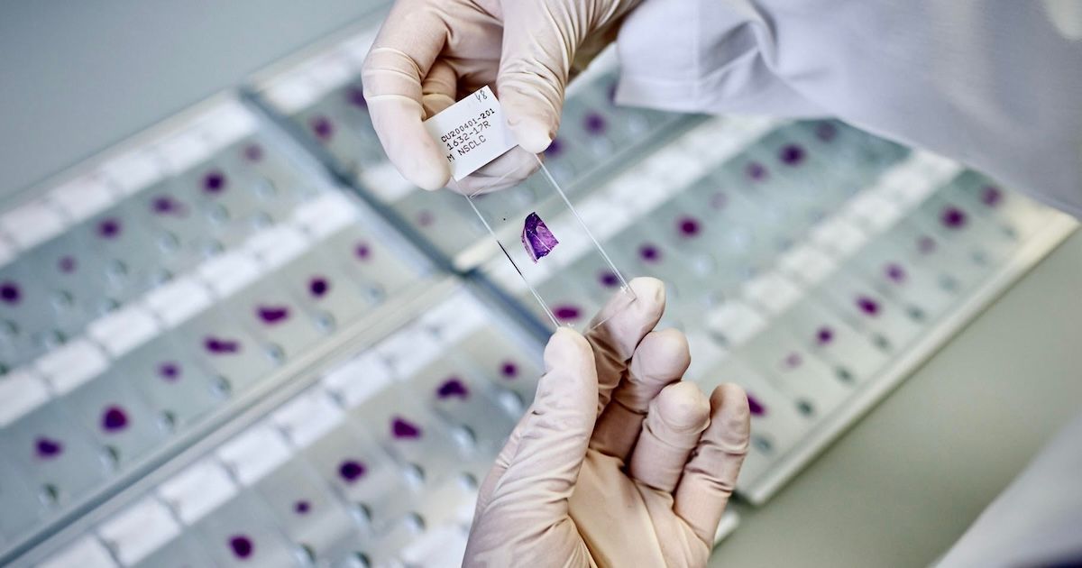 MediFormatica on LinkedIn: Lunit, AstraZeneca to develop AI-based ... MediFormatica on LinkedIn: Lunit, AstraZeneca to develop AI-based ...