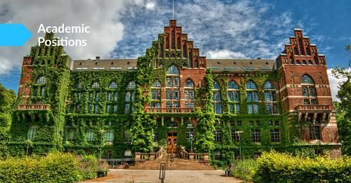 Academic Positions on LinkedIn: PhD, Postdoc, and Professor Salaries in ... Academic Positions on LinkedIn: PhD, Postdoc, and Professor Salaries in ...