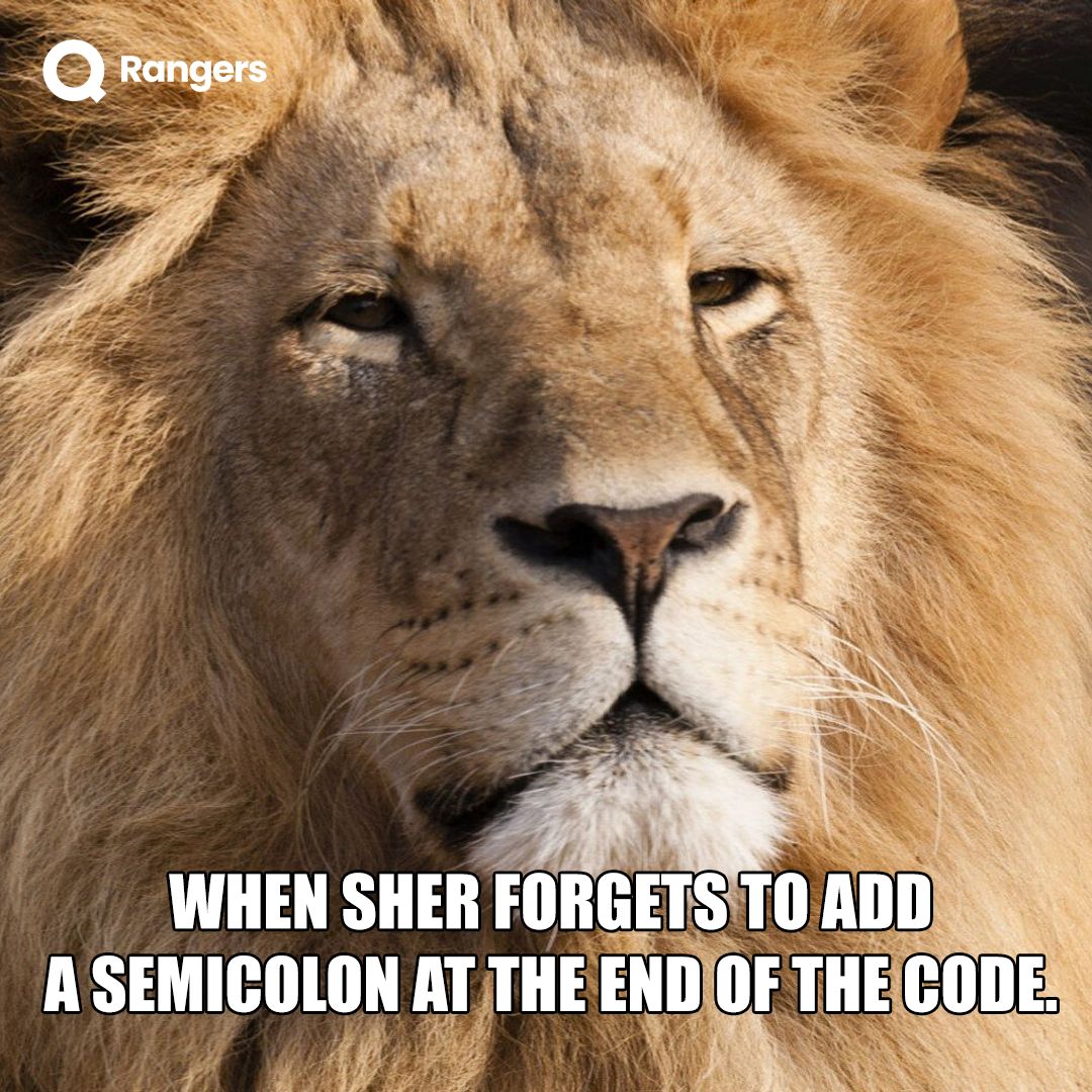 Q Rangers on LinkedIn: #qrangers #coding #codingmeme #memes #kidsfun # ... Q Rangers on LinkedIn: #qrangers #coding #codingmeme #memes #kidsfun # ...