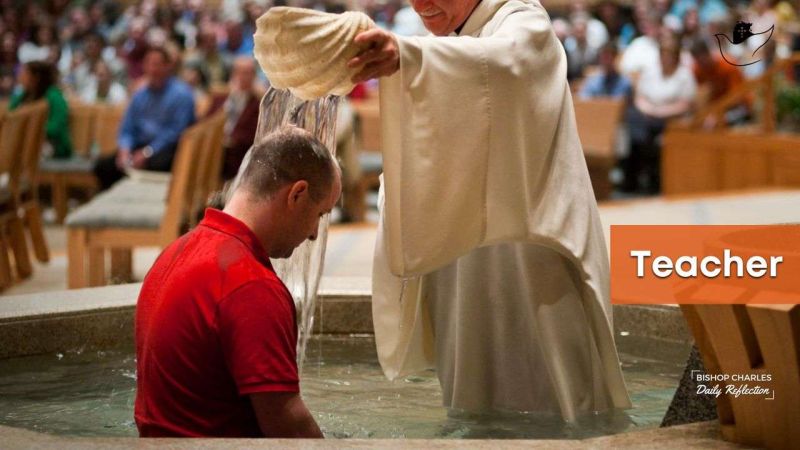 Diocese Of Darwin on LinkedIn: Teacher Diocese Of Darwin on LinkedIn: Teacher