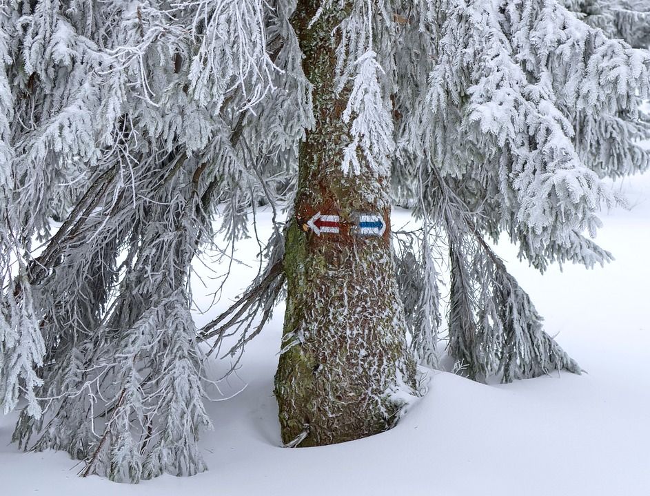 Dr. Subhabaha Pal on LinkedIn: Harnessing the Power of Decision Trees ... Dr. Subhabaha Pal on LinkedIn: Harnessing the Power of Decision Trees ...