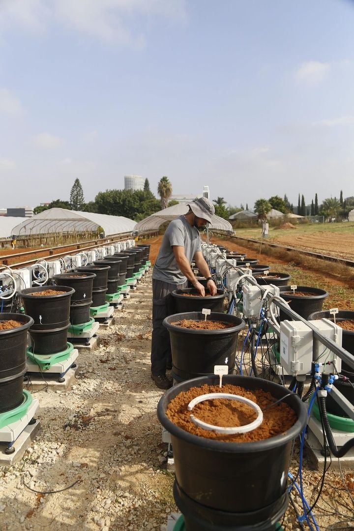 Priyansh B. Lall on LinkedIn: #israel #agritech #huji Priyansh B. Lall on LinkedIn: #israel #agritech #huji