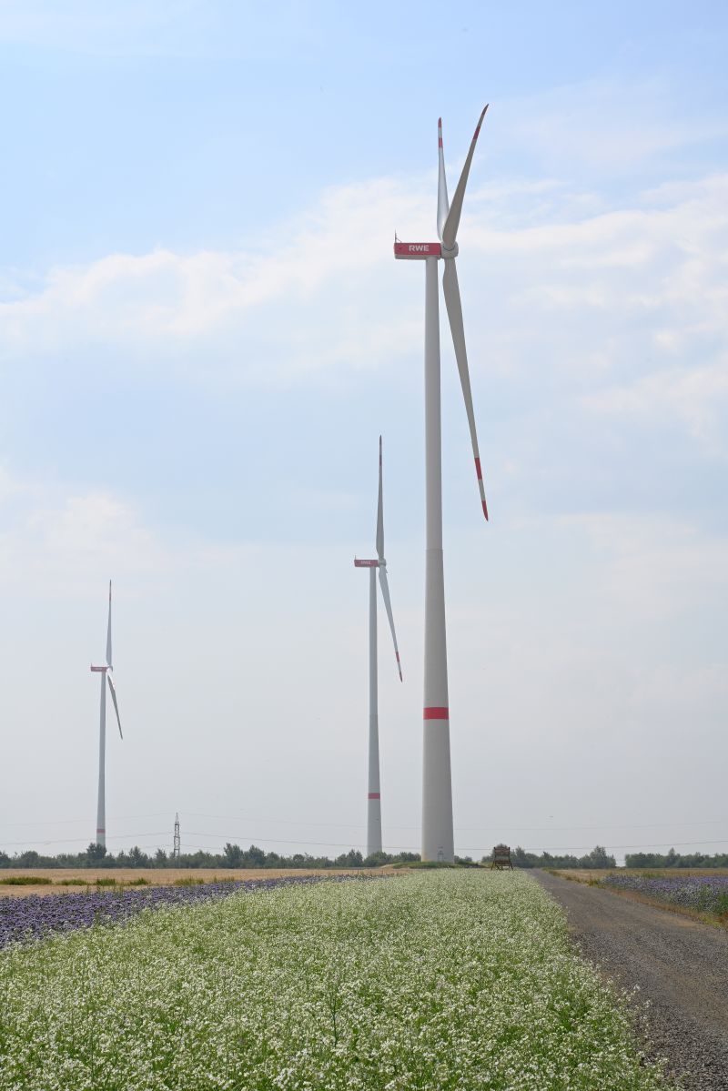 WindInsider on LinkedIn: RWE Secures Tenders for Two Onshore Wind ... WindInsider on LinkedIn: RWE Secures Tenders for Two Onshore Wind ...