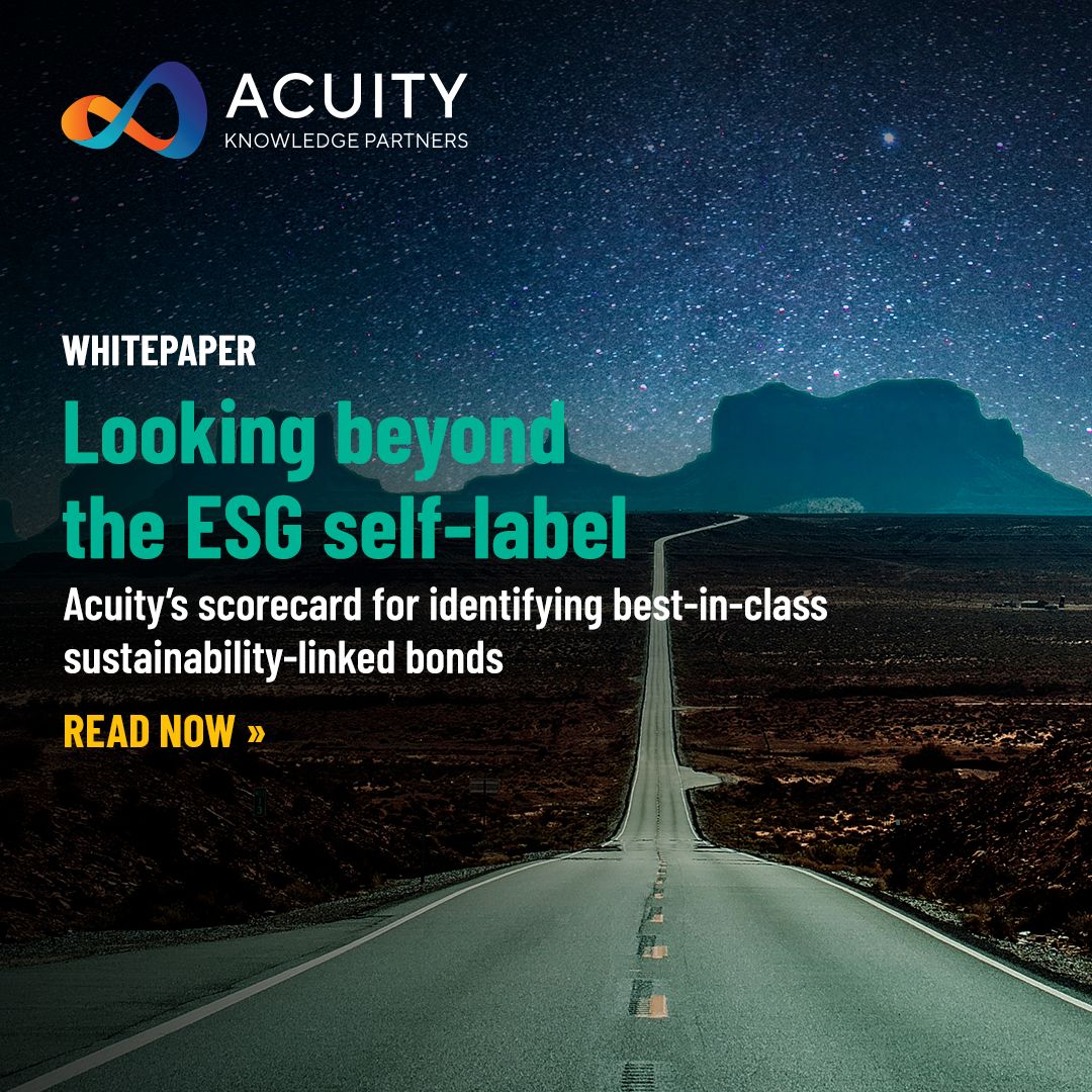 Acuity Knowledge Partners on LinkedIn: Looking beyond the ESG self ... Acuity Knowledge Partners on LinkedIn: Looking beyond the ESG self ...