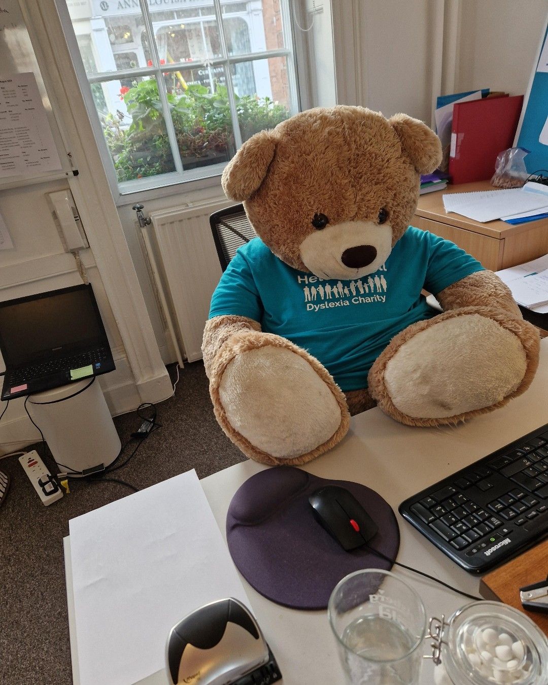 Helen Arkell Dyslexia Charity on LinkedIn: #dyslexia #fundraising Helen Arkell Dyslexia Charity on LinkedIn: #dyslexia #fundraising