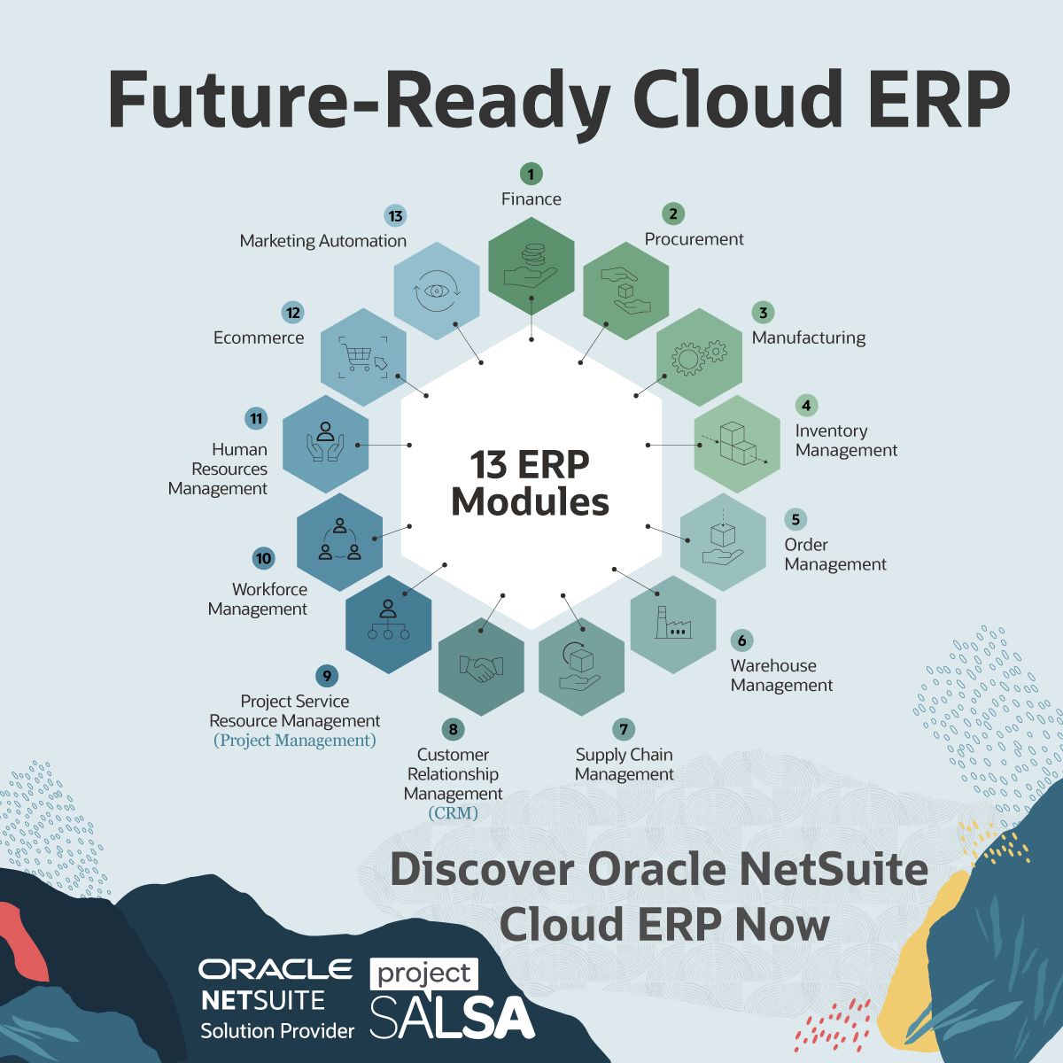 Project Salsa | Oracle NetSuite Solution Provider on LinkedIn: Project ... Project Salsa | Oracle NetSuite Solution Provider on LinkedIn: Project ...