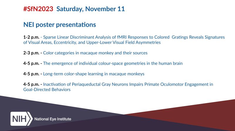 #nei #sfn2023 | National Eye Institute (NEI) #nei #sfn2023 | National Eye Institute (NEI)
