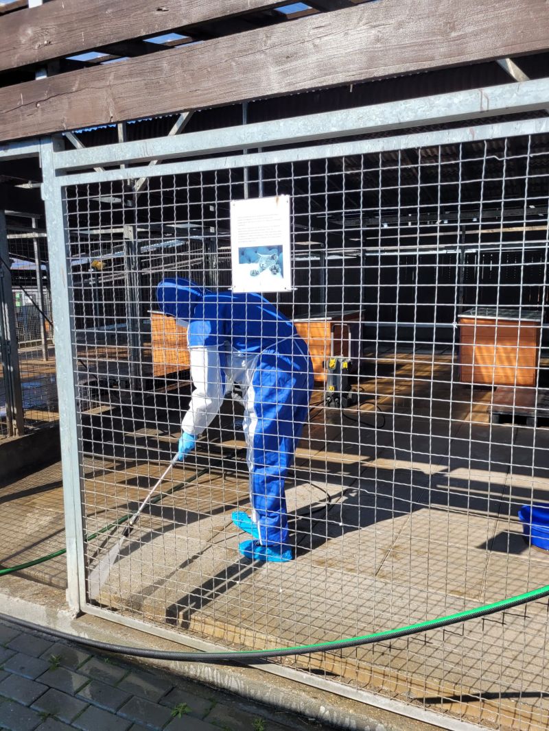 Aleksander Blachnio on LinkedIn: Our employees were eager to make a ... Aleksander Blachnio on LinkedIn: Our employees were eager to make a ...