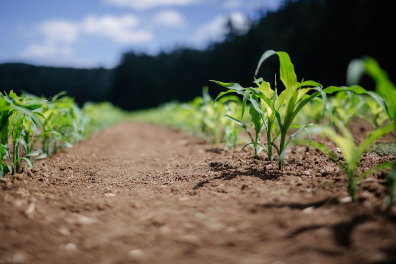 Access the IFIS Sustainability Database | IFIS Publishing posted on the ... Access the IFIS Sustainability Database | IFIS Publishing posted on the ...