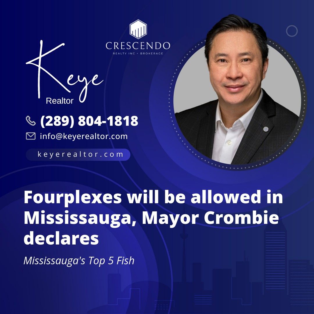 Fourplexes will be allowed in Mississauga, Mayor Crombie declares ... Fourplexes will be allowed in Mississauga, Mayor Crombie declares ...