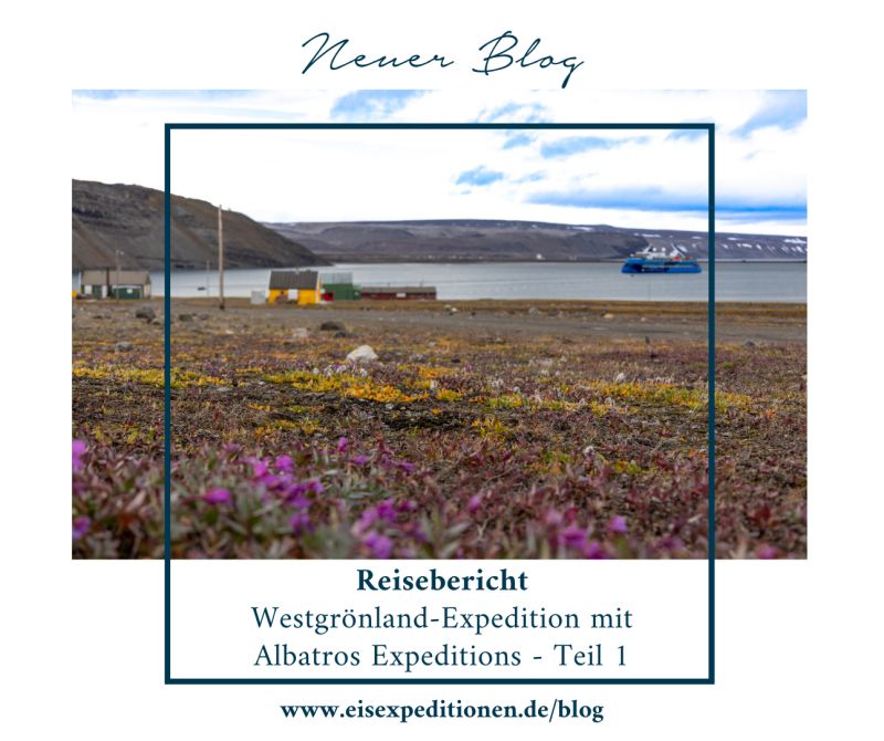 Dennis Hillemann auf LinkedIn: #reise Dennis Hillemann auf LinkedIn: #reise