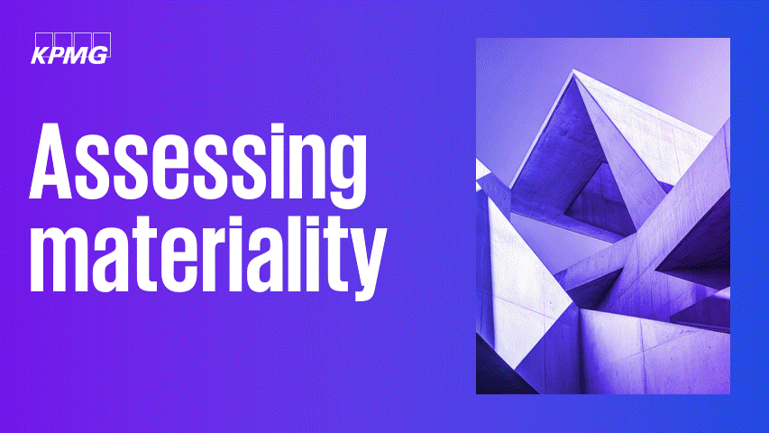 Joelene Pierce on LinkedIn: Assessing materiality Joelene Pierce on LinkedIn: Assessing materiality