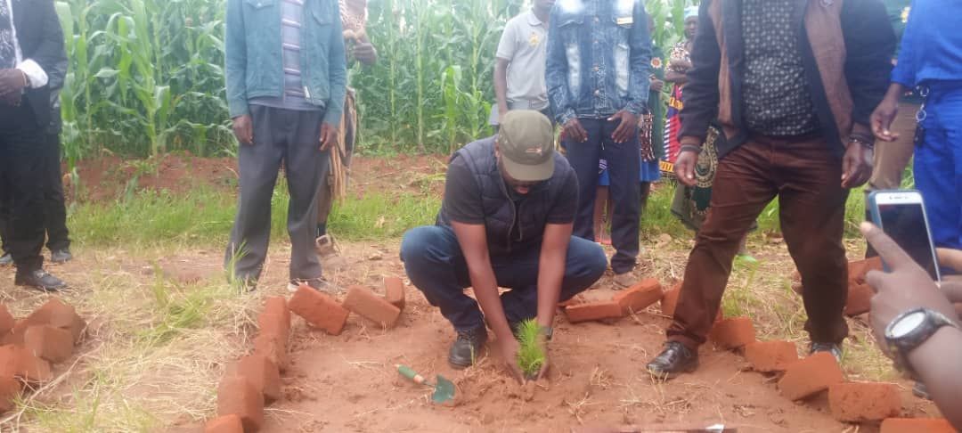 Sosten Mpinganjira on LinkedIn: Paramount Chief M’mbelwa V faults ... Sosten Mpinganjira on LinkedIn: Paramount Chief M’mbelwa V faults ...