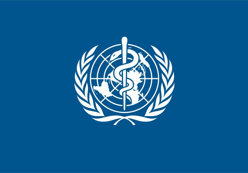 Campuz Verge Kenya on LinkedIn: 4 Vacancies Open at World Health ... Campuz Verge Kenya on LinkedIn: 4 Vacancies Open at World Health ...