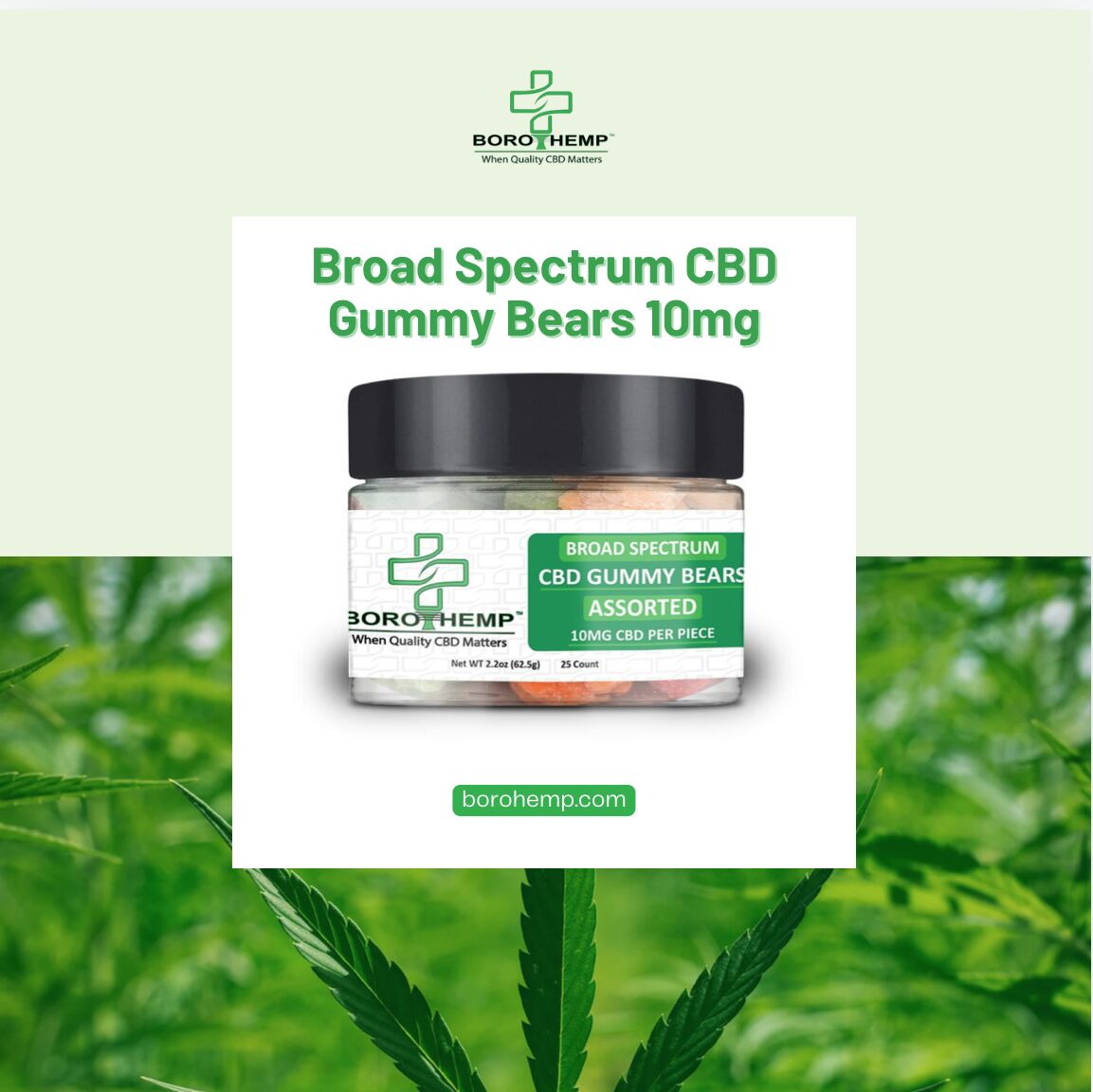 Broad Spectrum CBD Gummy Flats 35mg - Boro Hemp Co | Gordon Tinsley Broad Spectrum CBD Gummy Flats 35mg - Boro Hemp Co | Gordon Tinsley
