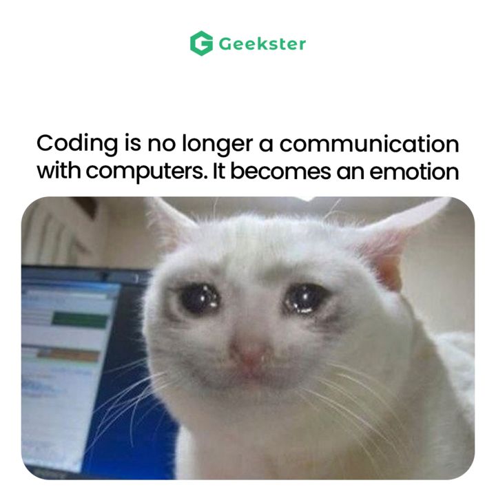 Geekster on LinkedIn: #geekster #coderslife #coding #codermemes # ... Geekster on LinkedIn: #geekster #coderslife #coding #codermemes # ...