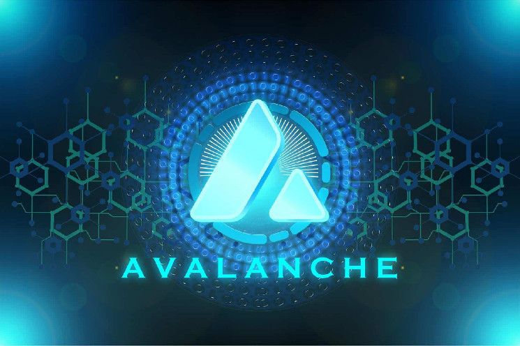 NBTC SAS on LinkedIn: #citibank #blockchaintechnology #avalanche #avax ... NBTC SAS on LinkedIn: #citibank #blockchaintechnology #avalanche #avax ...