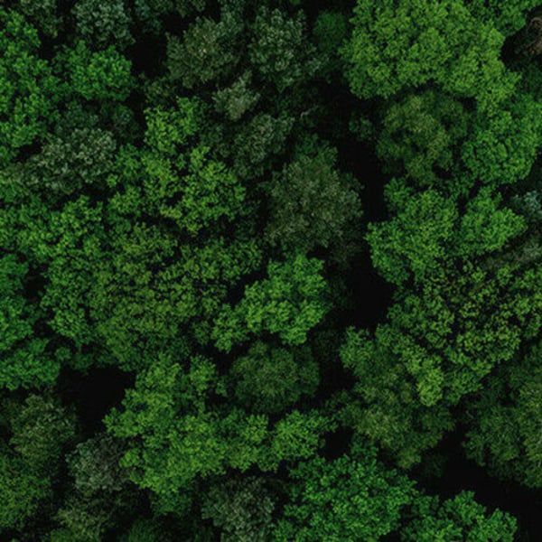 Minh Q. Tran on LinkedIn: Hugo Boss invests in sustainability-focused ... Minh Q. Tran on LinkedIn: Hugo Boss invests in sustainability-focused ...