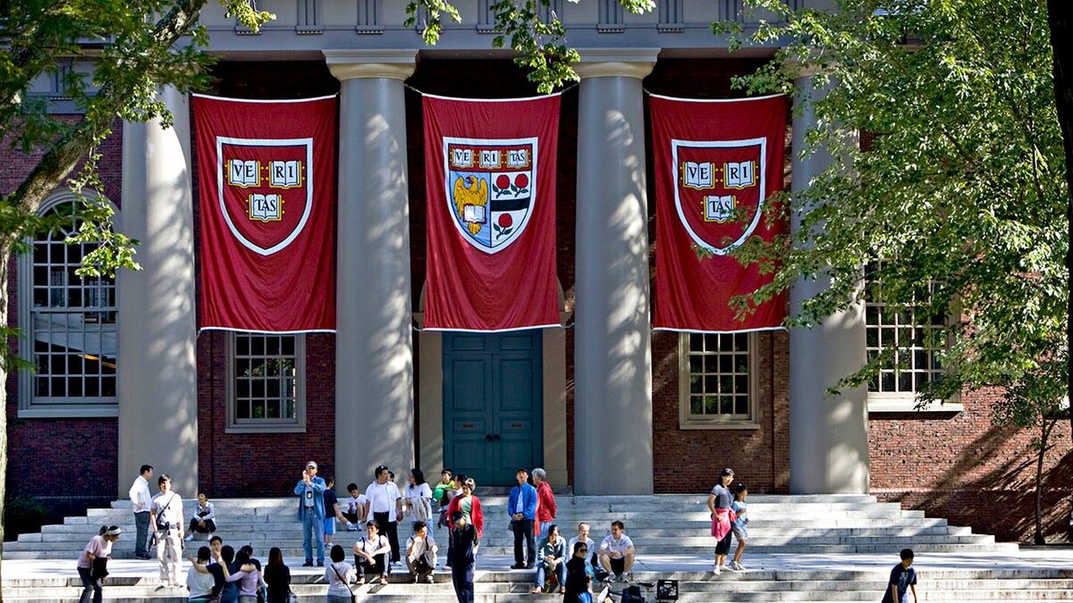 Sanal Kappakkuth on LinkedIn: Greg Gutfeld: Havard's DEI chief has just ... Sanal Kappakkuth on LinkedIn: Greg Gutfeld: Havard's DEI chief has just ...