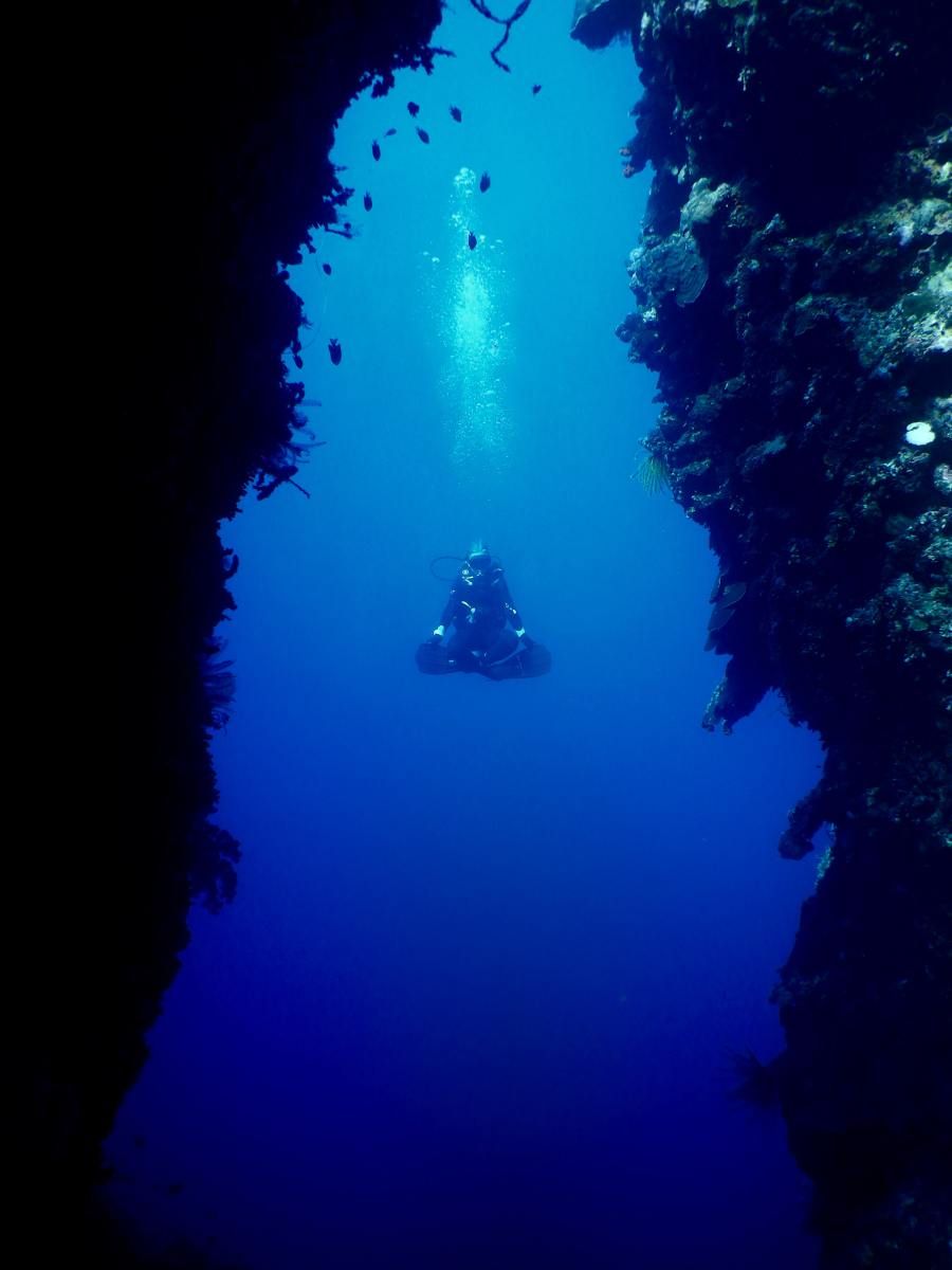 Søren Lauszus Weber on LinkedIn: Deep dive: Managed & Unmanaged solutions Søren Lauszus Weber on LinkedIn: Deep dive: Managed & Unmanaged solutions