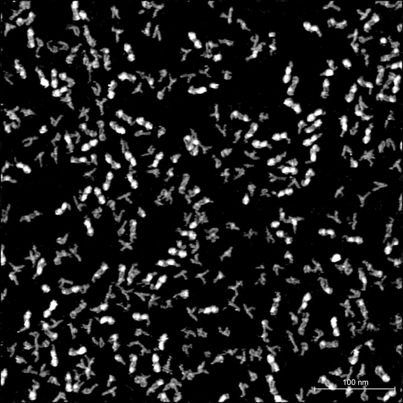 National Cancer Institute (NCI) on LinkedIn: Researchers discover the ... National Cancer Institute (NCI) on LinkedIn: Researchers discover the ...