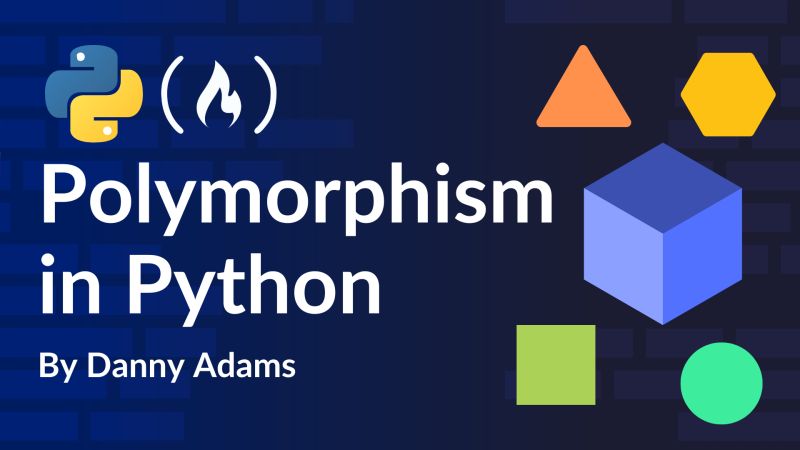 Florin Lungu on LinkedIn: What is Polymorphism in Python? Explained ... Florin Lungu on LinkedIn: What is Polymorphism in Python? Explained ...