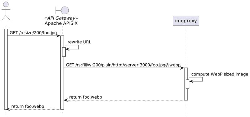 Resizing images on-the-fly | Bilal Awan Resizing images on-the-fly | Bilal Awan