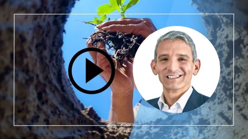 Bermuda:Re+ILS on LinkedIn: Alon Neches: In for the long haul Bermuda:Re+ILS on LinkedIn: Alon Neches: In for the long haul