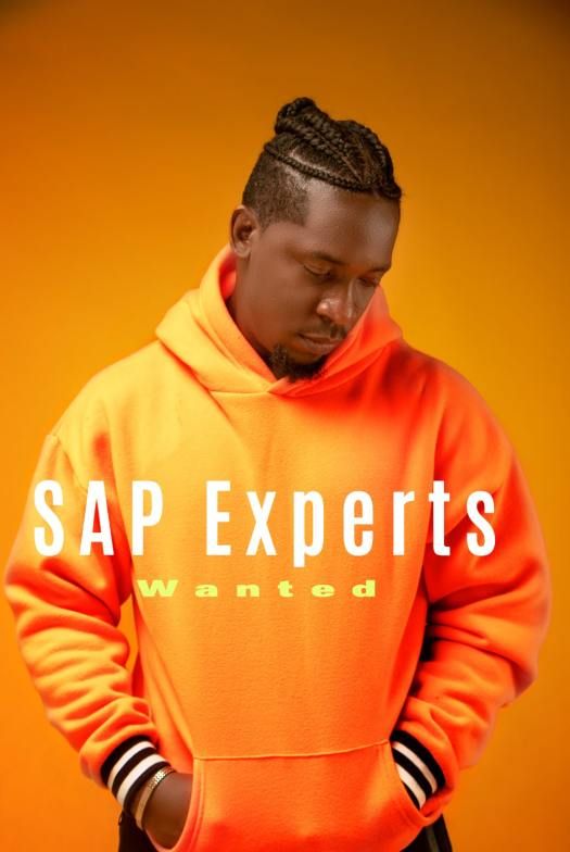 Timo Götte SAP® Contractor 📙 on LinkedIn: SAP Experts Wanted Timo Götte SAP® Contractor 📙 on LinkedIn: SAP Experts Wanted