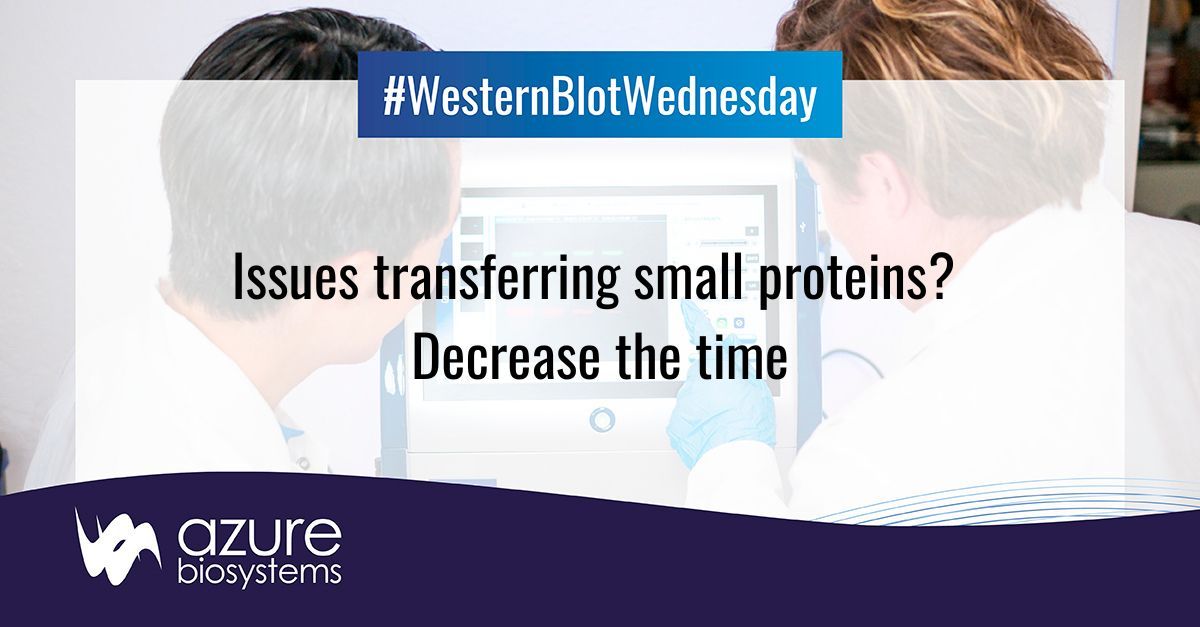 How to prevent proteins from passing through your membrane | Azure ... How to prevent proteins from passing through your membrane | Azure ...