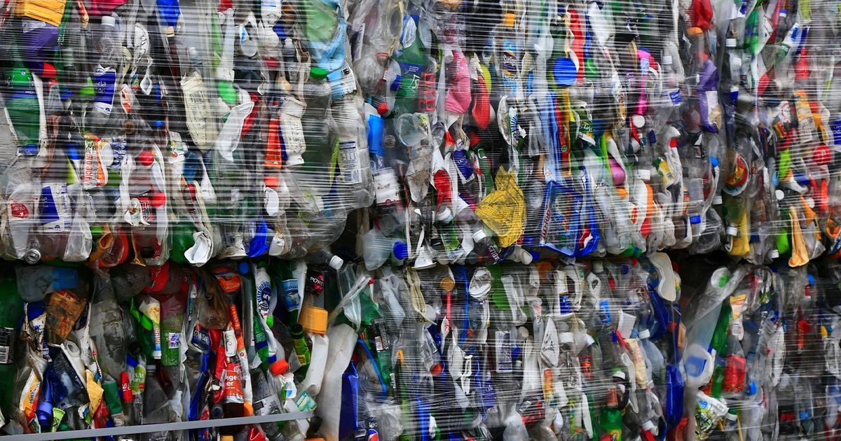 Eastman Partners with Mechanical Recycler Dentis Group/Nord Pal Plast ... Eastman Partners with Mechanical Recycler Dentis Group/Nord Pal Plast ...