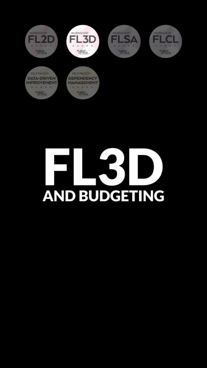 Klaus Leopold on LinkedIn: at Flight Level 3, budgeting works differently Klaus Leopold on LinkedIn: at Flight Level 3, budgeting works differently