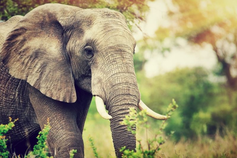 MinervaDB on LinkedIn: Mastering Row Locks in PostgreSQL: Balancing ... MinervaDB on LinkedIn: Mastering Row Locks in PostgreSQL: Balancing ...